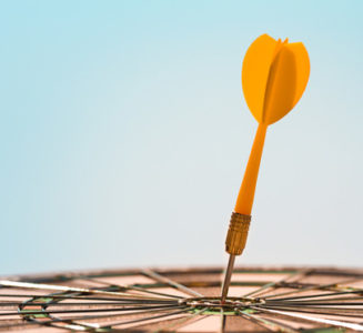 Political Ballot & Voter Contact | Advanced Micro Targeting